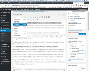 HTML pour les nuls : apprendre les balises html en moins de 30 minutes